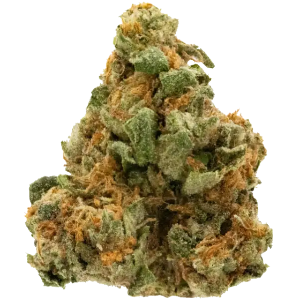 Banjo » Green Emporium